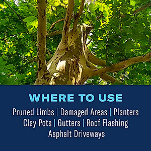 BioAdvanced 820045B Tree & Shrub Seal, Spray Can, 13oz Pressurized Pruning Sealer, 13 Ounce (Pack of 1), Blue