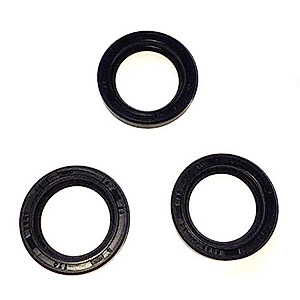 Interpump/General Pump Kit159 Oil Seals K159 KIT159 3 Seals TS, HTX Series 63