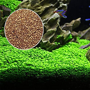 2 Pack Live Aquarium Plant Seeds, Water Grass Plants Mini Leaf , Aquarium Grass Plant Seeds, Aquarium Small Leaf Grass, Aquarium Water Grass Seeds, Creates Lush Green Carpet Plant