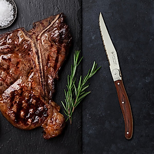 Laguiole by Hailingshan Steak knives Serrated Edge Sharp Light Premium Dishwasher Safe Stainless Steel knife set of 8 wood handle with Gift Box