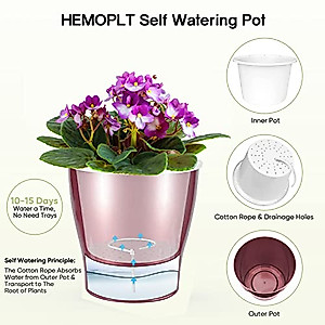 HEMOPLT Plant Pots - Self Watering Pots for Indoor Plants - 5" / 6.7" Planters for Indoor Plants - Pack of 6 Flower Pots - African Violet Pots - Orchid Pot - Gold - Silver - Rose Gold