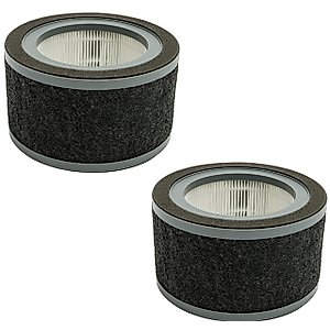 Flintar FLT4200 H13 True HEPA Replacement L Filter, Compatible with GermGuardian Air Purifier Models AC4200 and AC4200W, Filter Size L, Part Number FLT4200, 2-Pack