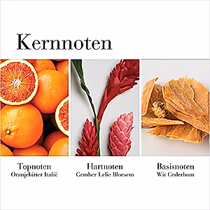 Elizabeth Arden White Tea Ginger Lily Eau de Toilette Spray, Perfume for Women, 3.3 oz.