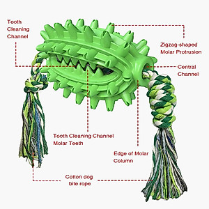 Dog Chew Toys Dog Toothbrush Stick Teeth Cleaning Brush Dental for Small Medium Large Dog, Rubber Dog Squeaky Toys for Aggressive Chewers Cactus Tough Toys Interactive for Training Cleaning Teeth