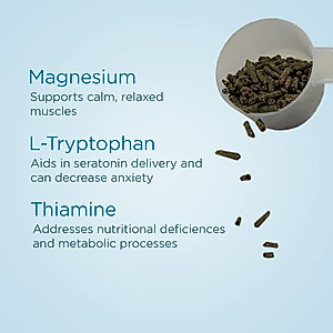 Formula 707 Calming Equine Supplement 5LB Bucket – Anxiety Relief and Enhanced Focus for Horses – L-Tryptophan, Thiamine & Magnesium