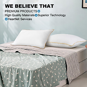 NEIPOTA King Size Pillows Set of 2 - Down Alternative Bedding, Cooling Hotel Quality 20 x 36, Bed Sleeping Pillow for Back, Stomach or Side Sleepers