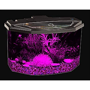 Koller Products Plastic 3-Gallon Aquarium Starter Kit with 7 Colors LED Lighting and Complete Filtration, Ideal for a Variety of Tropical Fish , Betta Fish, Tropical Fish, Cichlids, Ornamental Shrimp