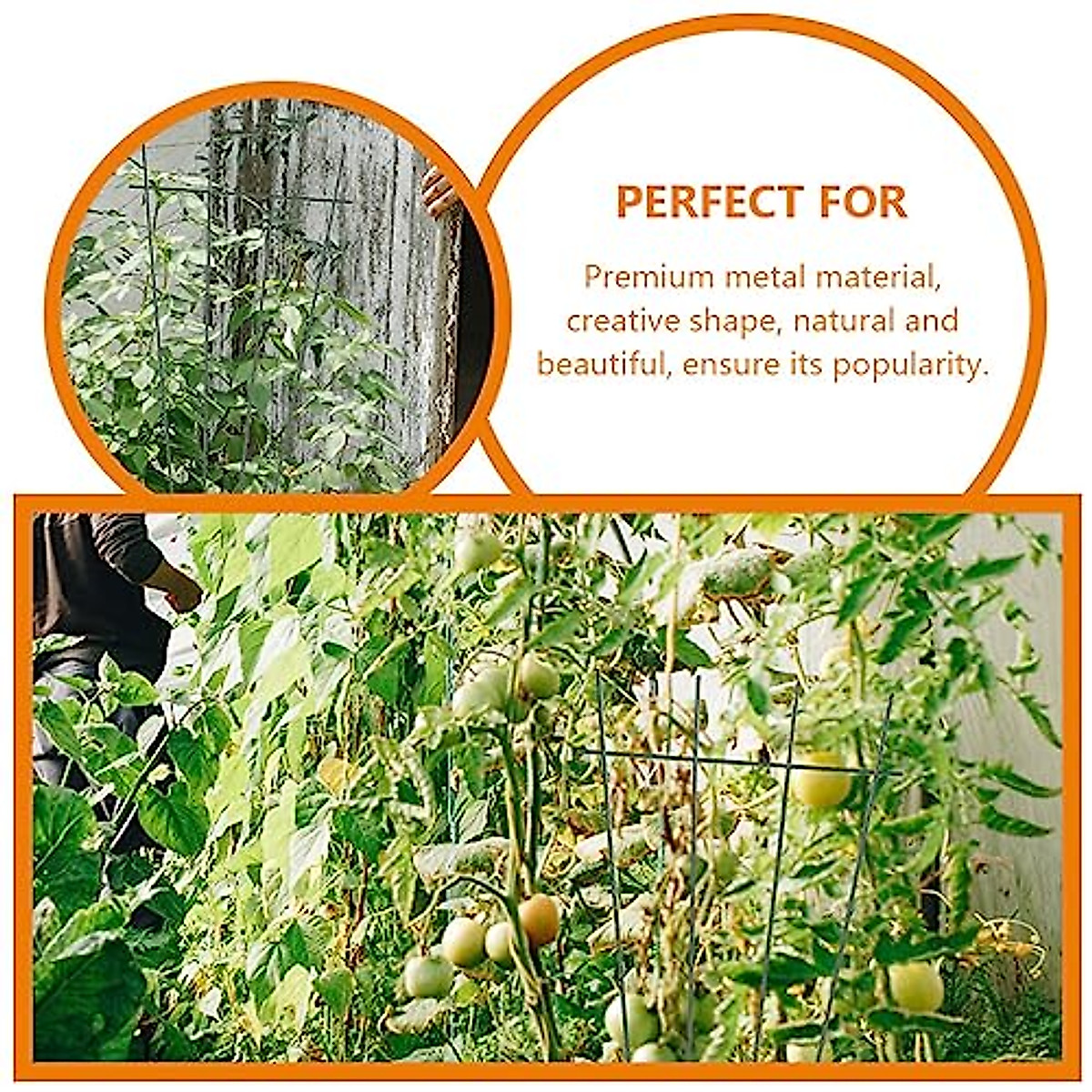 MAGICLULU House Plant Trellis for Potted Plants Plant Climbing Trellis 2pcs Iron Vine Climbing Support Rack Flower Garden Plant Stakes for Rose Vine Pea Ivy Cucumbers Flower Vegetables