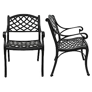 2 Pieces Cast Aluminum Patio Chair,Metal Outdoor Dining Chair with Armrest, Set of 2 All Weather Patio Armchairs,Outdoor Furniture Bistro Chairs for Lawn Porch Garden Backyard Poolside Deck,Black