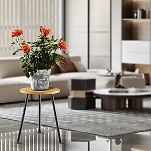 KINNARY Indoor Plant Stand, Mid Century Wood Plant Stand Plant Table for Flower Pots, Tall Metal Plant Holder, Modern Home Decor Small Round Side End Table (11.8"x16")