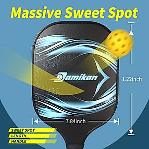 Damikan DM2 Pickleball Paddle I Lightweight Fiberglass Paddle I Durable Polymer Honeycomb Core I Cushioned Grip Handle