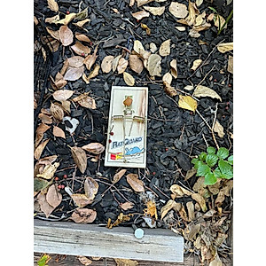 Harrier Hardware 12-Pack Rat Trap Bulk Set - Reliable Double Spring Mechanism with Sturdy Wood Base and Metal Plate for Indoor and Outdoor Quick Strong Snap