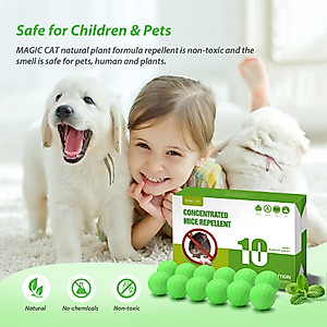 MAGIC CAT Rodent Repellent Peppermint Oil to Repel Mice & Rats, 10 Pack Natural Rat Deterrent for Indoor Home Pet Family Safe, Mouse Stopper for Car Engine RV Truck Garage Closet Boat Rodent Control