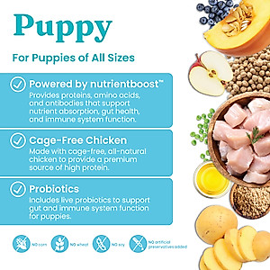 Solid Gold Dry Puppy Food w/Nutrientboost - Made with Real Chicken & Nutritious Superfoods - Love at First Bark Grain Free Puppy Dry Food for Healthy Growth, Energy and Gut Wellness - 22 LB Bag