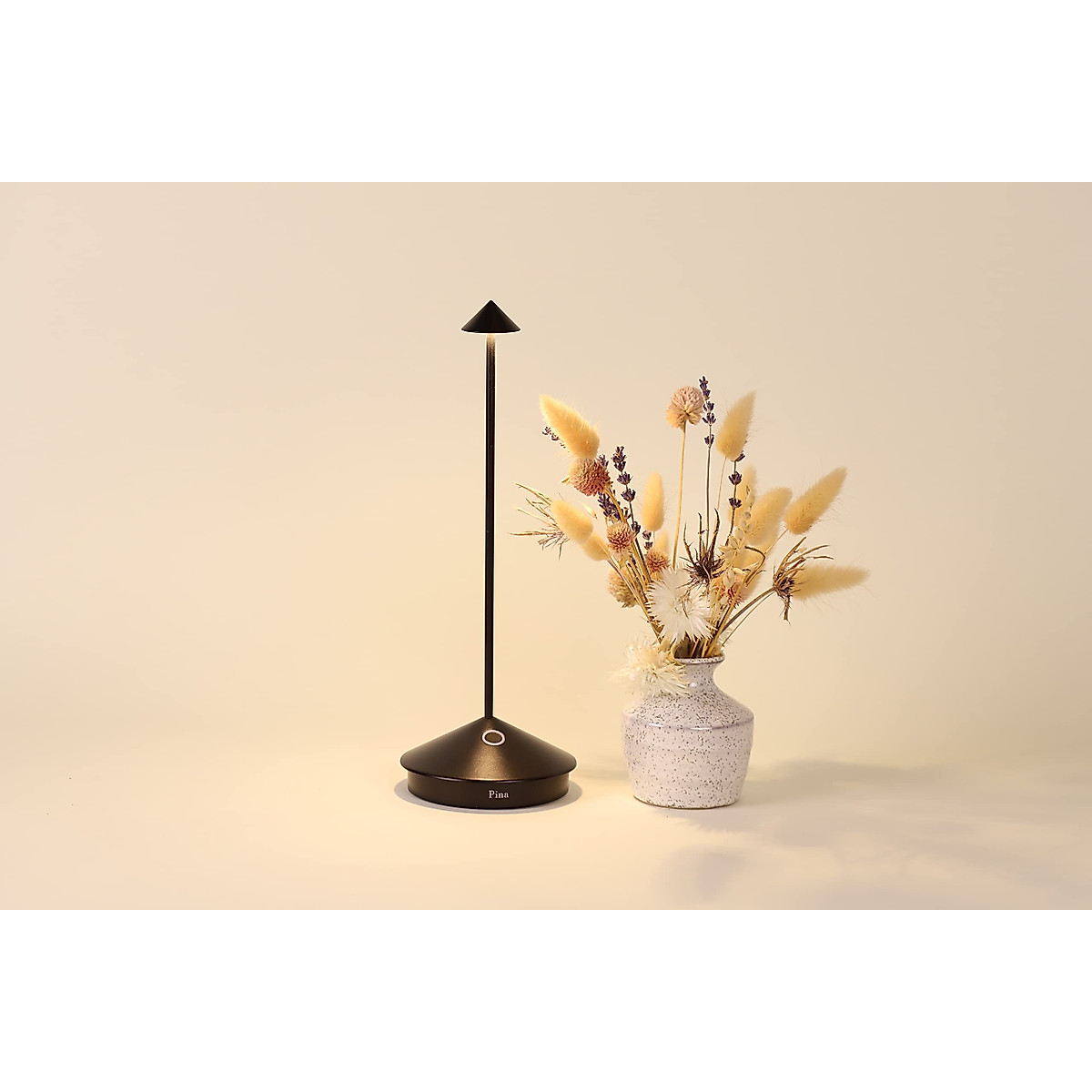 Zafferano Pina Pro Cordless LED Table Lamp (Black) Powder-Coated Aluminum, Touch Dimmable, Indoor Outdoor, Contact Charging Base, USA Plug, 11.4” 29cm