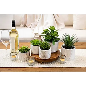 Kurrajong Farmhouse Artificial Succulent Plants in pots | Mini Fake Plant for Shelves | Artificial Plants for Home Decor Indoor | Succulent Plants Artificial | Mini Plant Decor | Small Faux Plants
