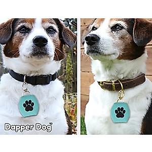 Dapper Dog Dog Tag Silencer with Gold and Silver Kwik Clips and Gold and Silver Tag Rings (Teal with Black Paw)