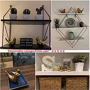 FANTESTICRYAN Small Birds Statues Gold Home Decor Modern Style Figurine Decorative Ornaments for Living Room, Bedroom, Office Desktop, Cabinets