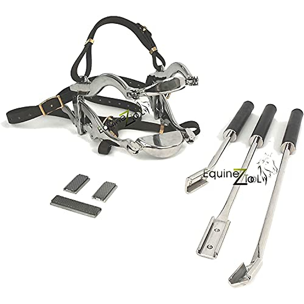 Equine Dental Kit Set 4000 Series Speculums with 3 Floats with Blades Premmium, Set