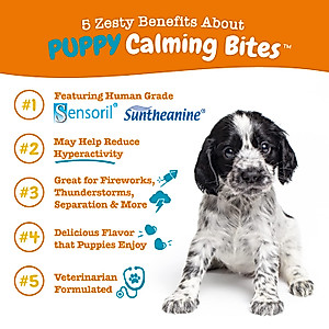 Zesty Paws Puppy 8-in-1 Multivitamin Soft Chews + Puppy Calming Soft Chews