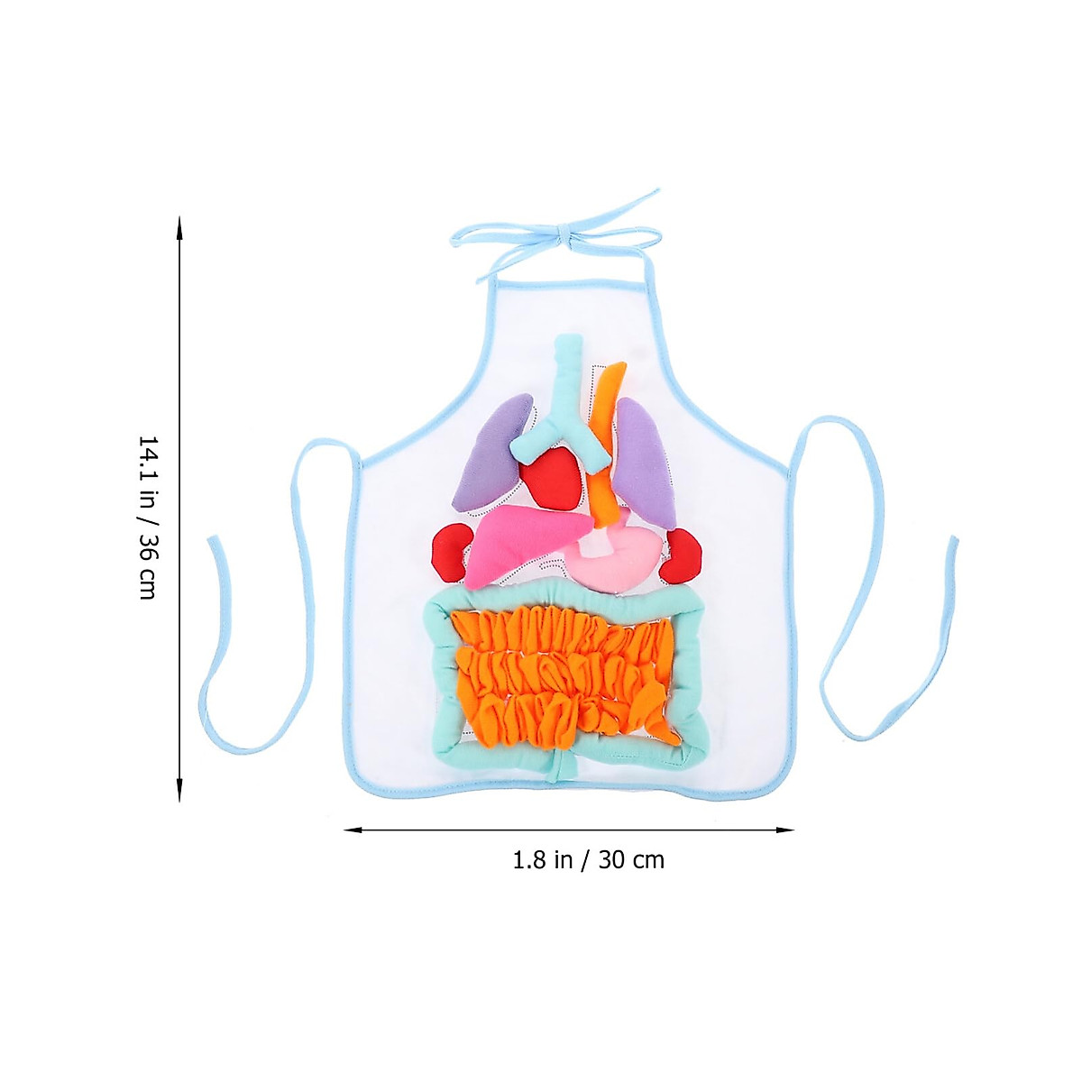 NUOBESTY 3D Apron Anatomy Apron Human Body Organs Awareness Educational Tool for Home Preschool Teaching Aid 64cm Educational