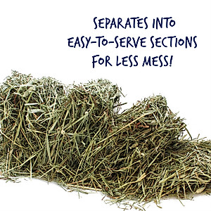 Vitakraft Small Animal Timothy Hay for Guinea Pigs, Rabbits, and Chinchillas - 1.75 lbs