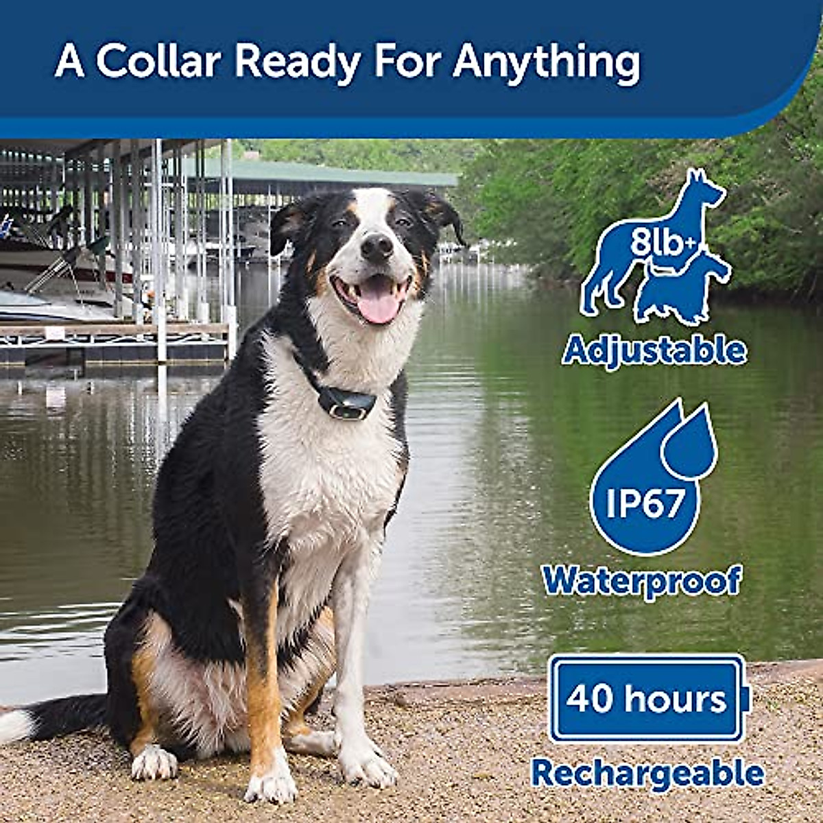 PetSafe Remote Training Collar - 300 Yard (900 FT) Range - Collar Fits Medium or Large Dogs - Choose from Tone, Vibration, or 15 Levels of Static Stimulation for Training Off Leash Dogs