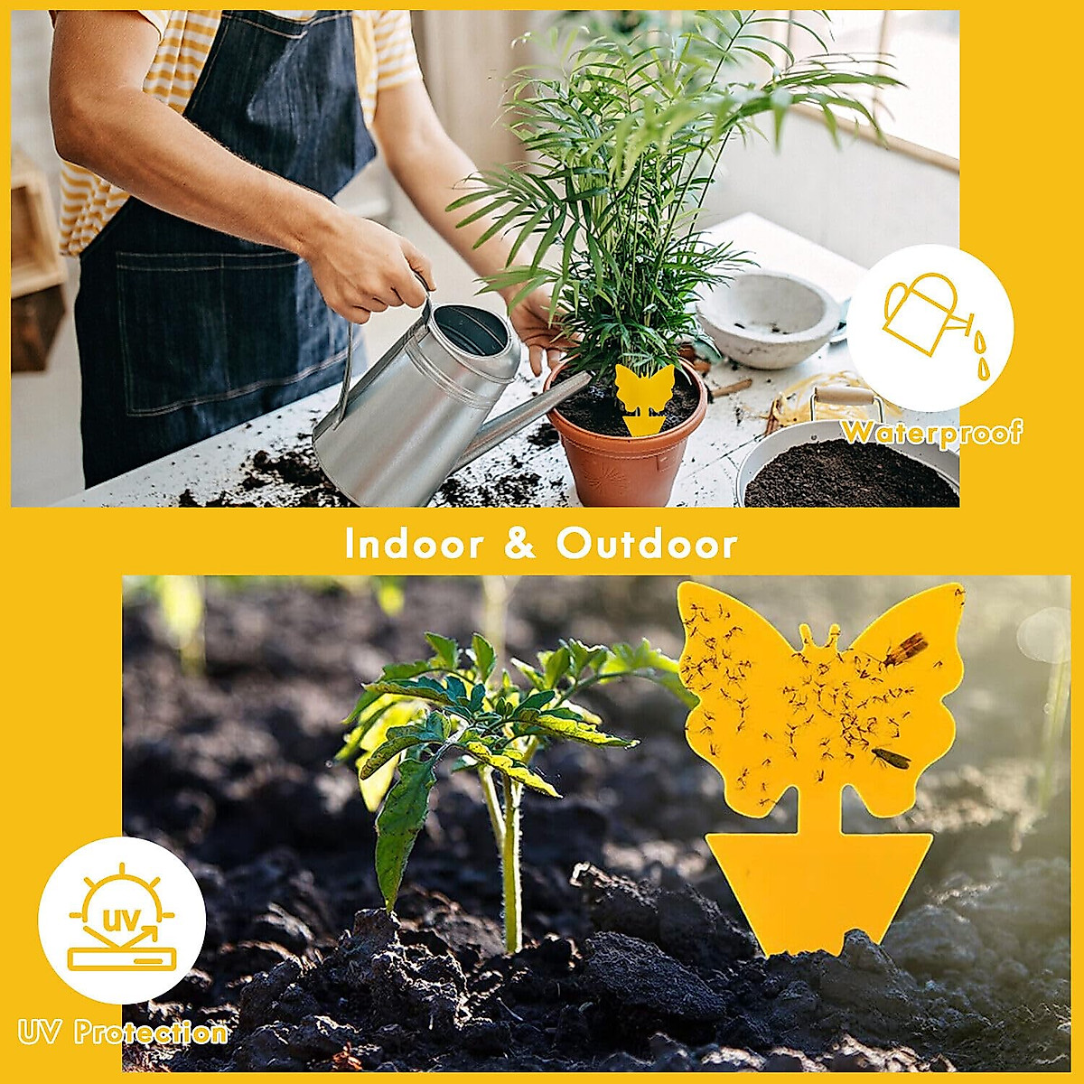 Adawook 24pcs Sticky Traps, Fruit Fly Traps for Indoors, Gnat Sticky Traps for House Plant, Fruit Fly, Whitefly, Fungus Gnat,and Bugs, Yellow