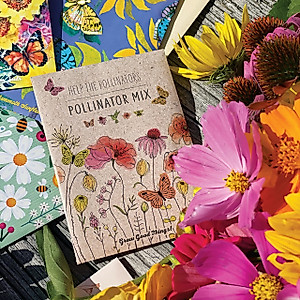 Bentley Seeds Pollinator Seed Mix - Pre-Filled, Non-GMO, Non-Coated Butterfly Seed Packets - 25 Annual Wildflower Seed Packs - Perfect Eco-Friendly Gift