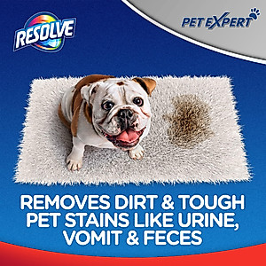 Resolve Pet Expert Carpet Spot & Stain Remover Spray, Pet Stain and Odor Remover, Carpet Cleaner, 22oz (Pack of 2)