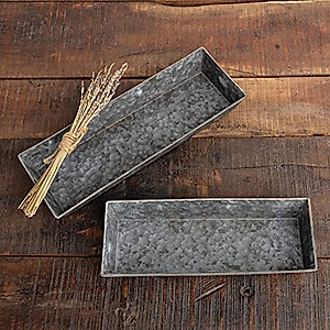 Primitives by Kathy Galvanized Rectangular Trays, Set of Two