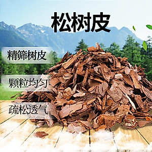 CYMUS Pure Pine bark 纯松树皮 Orchid & Bonsai Tree Soil - Medium Grain 3L