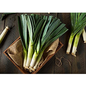 Gaea's Blessing Seeds - Leek Seeds - Non-GMO American Flag Leek Seeds with Easy to Follow Planting Instructions - 90% Germination Rate