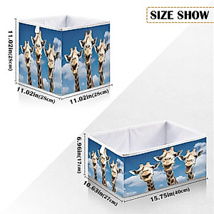 Kigai Funny Giraffes Cube Storage Bins - 11x11x11 in Large Foldable Cubes Organizer Storage Basket for Home Office, Nursery, Shelf, Closet