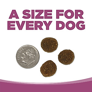 NutriSource Element Series Wild Range Dry Dog Food, Chicken, Pork & Bison, 4LB