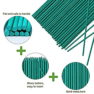 17" Green Bamboo Sticks,Garden Wood Plant Stakes,Floral/Orchid/Tomato Wooden Stakes Plant Support Stakes Wooden,Wooden Sign Posting Garden Sticks(30pcs)