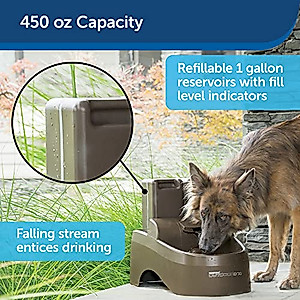 PetSafe Drinkwell Outdoor Dog Water Fountain, Pet Drinking Fountain, 450 oz Capacity Water Dispenser,gray