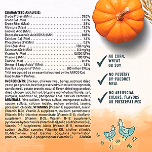 Beyond Purina High Protein, Natural Kitten Food, Kitten Chicken & Oatmeal Recipe - 3 lb. Bag