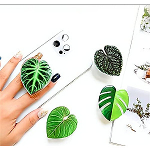 Monstera Anthurium Philodendron Leaf Tropical Aroid Plant Phone Grip Handle for Phone & Tablet (Verrucosum)
