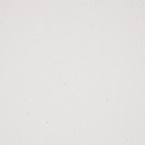 Sargent Art 16 x 20 inch Stretched Canvas, Pack of 10 Pieces, Blank White Canvases, Double Acrylic Titanium Priming, Perfect for Acrylic, Oil, and Art Projects, Acrylic Pouring & Wet Media