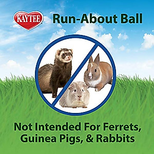 Kaytee 7" Clear Run-About Exercise Ball For Pet Hamsters & Gerbils