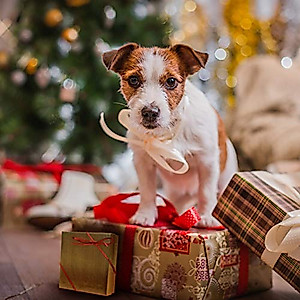 50 Years as Mr. and Mrs. Ceramic Christmas Tree Ornament Collectible Holiday Keepsake 2.875" Round Ornament in Decorative Gift Box with Bow- Perfect 50th Wedding