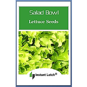 500 Salad Bowl Lettuce Seeds | Non-GMO | Fresh Garden Seeds