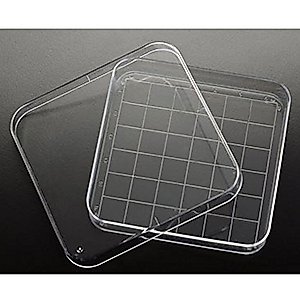 Square Petri Dish, 100 x 15mm, Vented, Alphanumeric Gridlines, 10 per Sleeve, 500 Dishes/Unit