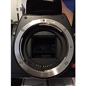 Canon Digital Rebel XTi 10.1MP Digital SLR Camera (Black Body Only)