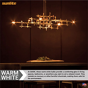 Sunlite 41717 Incandescent T4 Tubular Light Bulb, 15 Watts, 75 Lumens, Candelabra E12 Base, Dimmable, 2000 Hour Life Span, 2600K Warm White, 10 Count