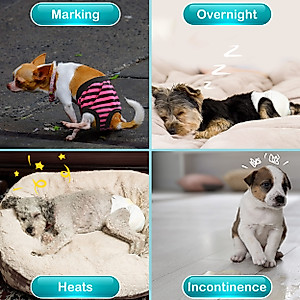 Cloverooke 100ct Extra Small Dog Diaper Liners, Disposable Absorbent Hygiene Pad for Female Heat, Booster Pad for Urinary Incontinence, Male Wrap Inserts.