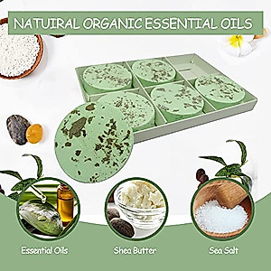 Serenity Select Eucalyptus Shower Steamers Organic Aromatherapy Shower Bombs with Essential Oil 6 Shower Vapor Tablets for Stress Relief & Relaxation. Great Stocking Stuffer for Christmas Hanukkah