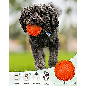 2.5" Squeaky Dog Balls for Small Medium Dogs, 6 Pack Small Dog Chew Toys with Spike, Puppy Toys for Teeth Cleaning and Training