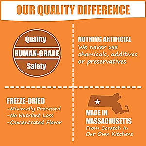 Whole Life Pet Healthy Gut Daily Supplement for Cats – Probiotics with Pumpkin. Helps Digestion + Stool Formation. Mixes in Food or with Water for Hydrating Snack